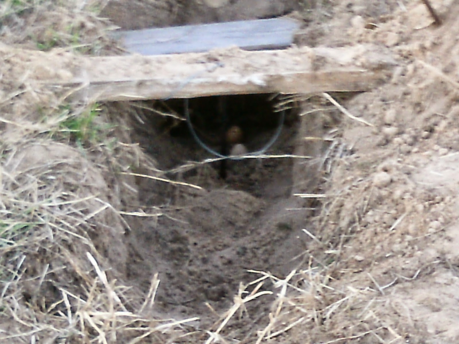 Hidden Snares – Julie Steck