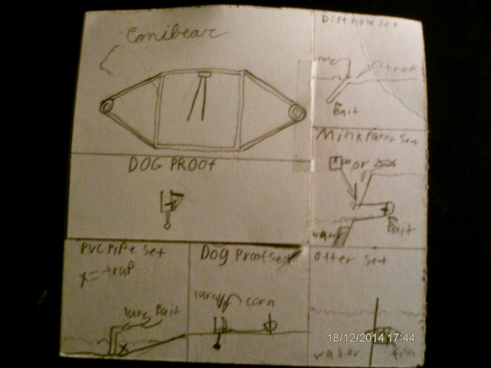 Hidden Snares – Julie Steck