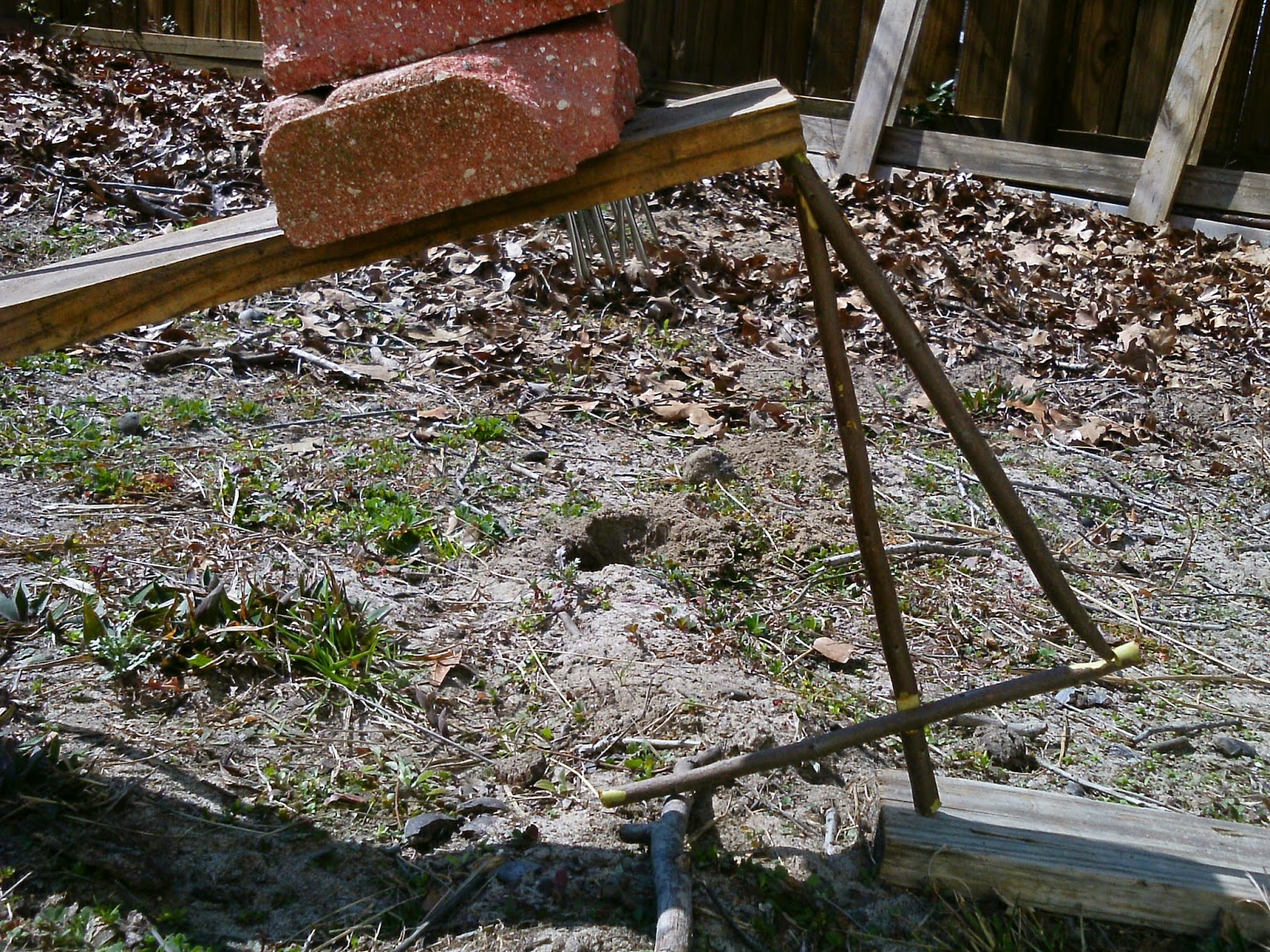 Hidden Snares – Julie Steck