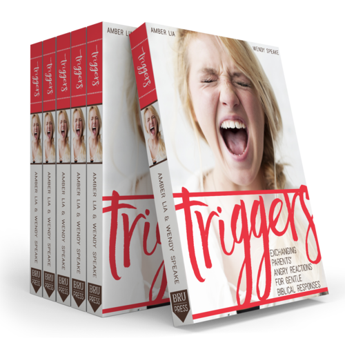 Triggers – Julie Steck